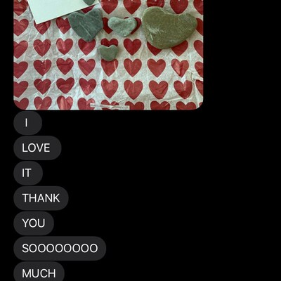 Heart Shaped Beach Rocks Lake Erie Set of 8 - Etsy