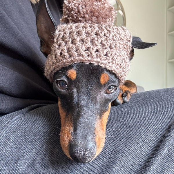 Dog Bobble Hat With Ear Holes. Puppy Hat. Dog Beanie Hat.dachshund ...