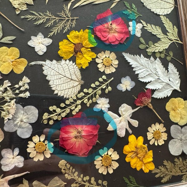Dark Tones Pressed Flowers Frame, Wooden Stand Dried Flower Frame ...