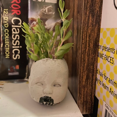 Coffin Casket Spooky Moss Mini Cemetery Planter Halloween - Etsy