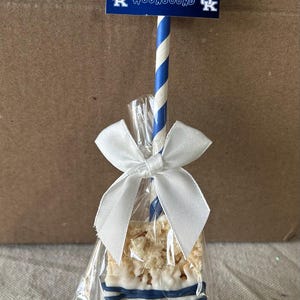 Ms Rachel Kids iPad Laptop Padded Water Resistant Zipper Travel Sleeve ...