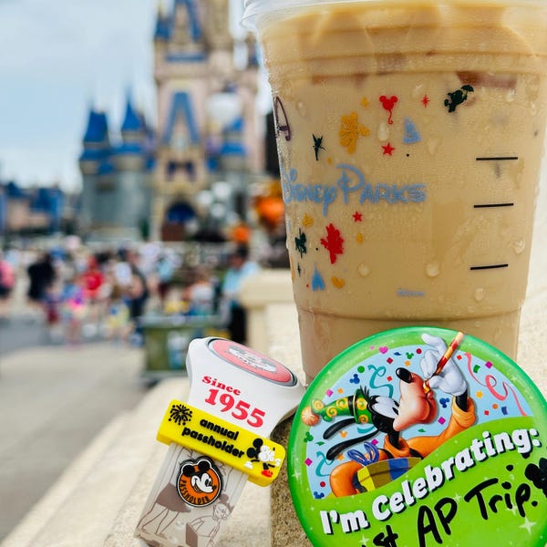 Haunted Mansion Disney World Magic Band Slider - Etsy