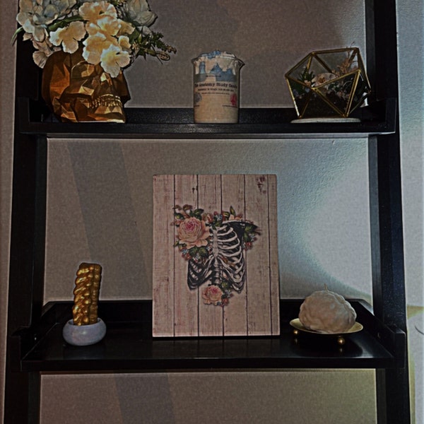 Human VERTEBRAE Spine Decoration • Resin Spinal Column • Many Colors ...