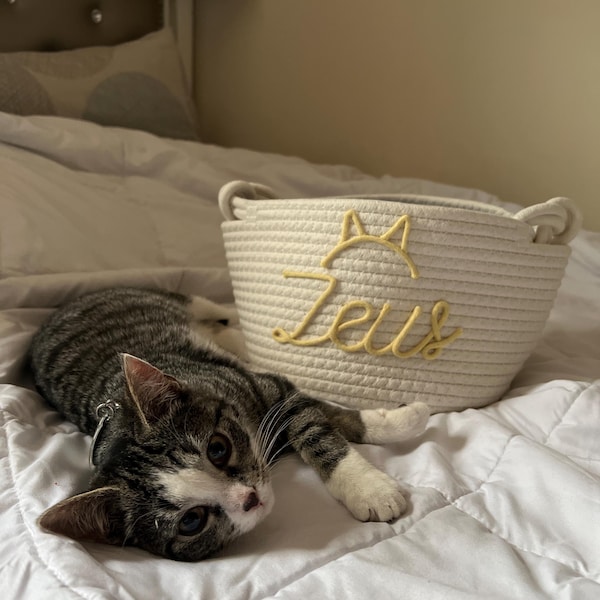 Personalized Cat Toy Basket Custom Kitten Treat Bin New Cat Gift New ...