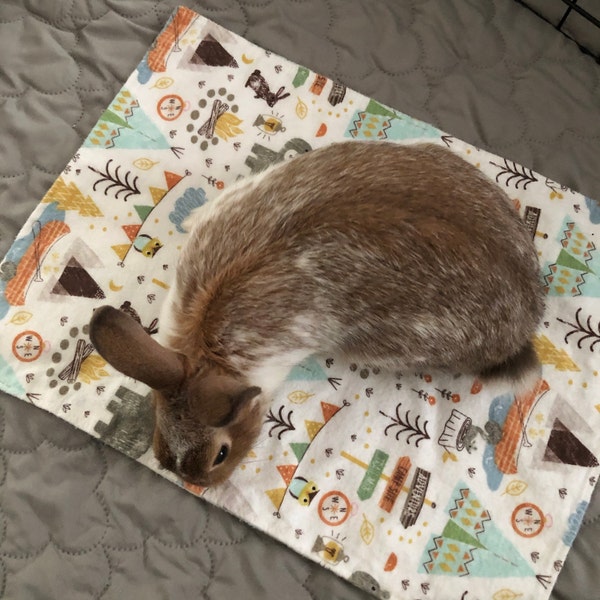 Baby Burp Cloth Bunny Rabbit Rug Mat Bed 2 Layer Flannel Changing Pad ...