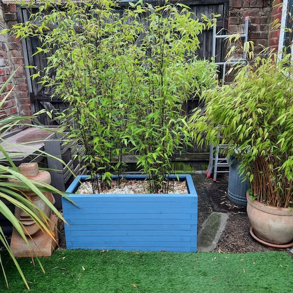ULTRA Trellis Made to Measure. Contemporary Modern Garden Planter ...