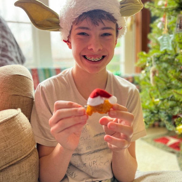 Real Chicken Nugget With Santa Hat Ornament (real Preserved Chicken ...
