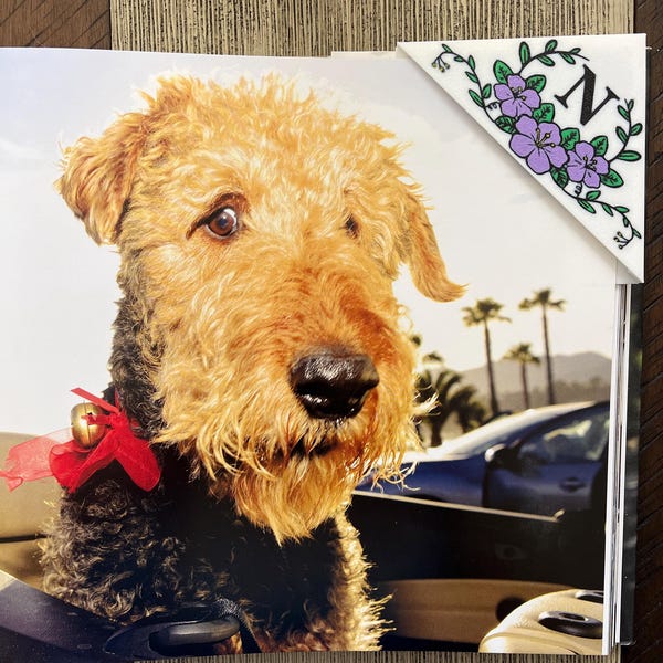 Loofah Shower Sponge Hook Wall-mounted Hanger for Loofahs, Sponges ...