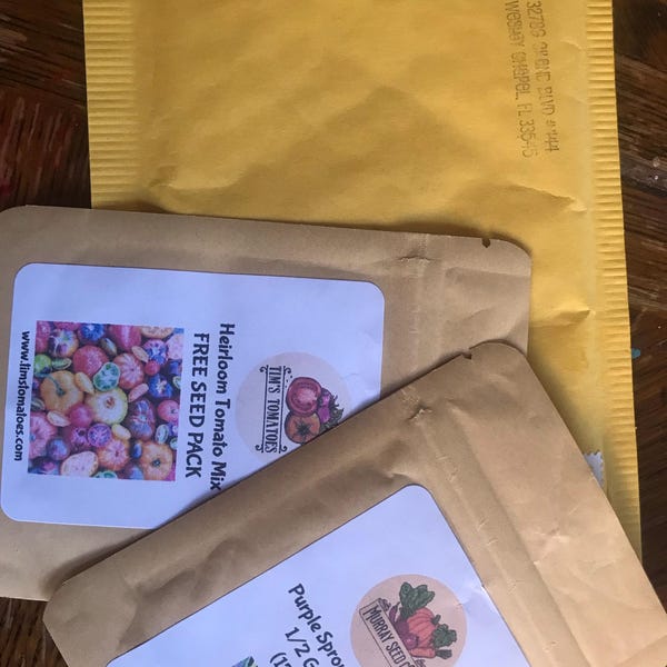 Valentino Basil Seeds - Etsy