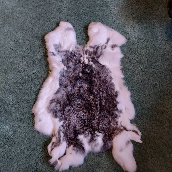 Lot of 4 Assorted Rabbit Hides as Shown Natural Rabbit Fur No. 180228 ...