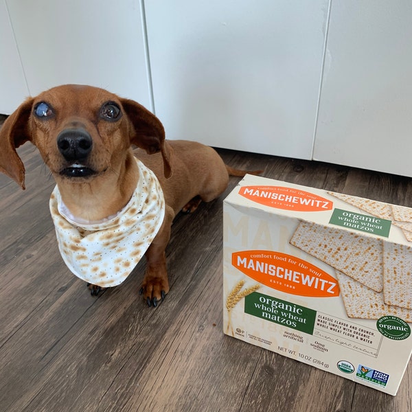Passover Dog Bandana Matzah - Etsy