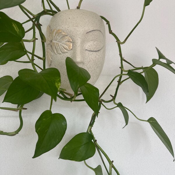 Handmade Human Face Wall Planters - Creative Plant Display - Face Plant ...