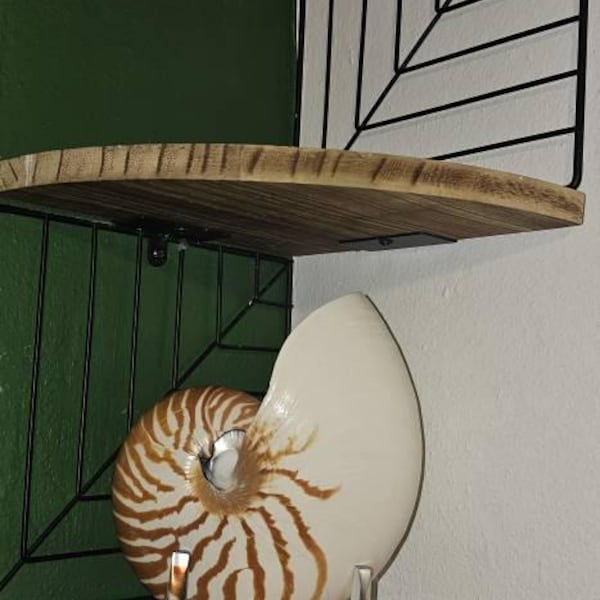 Beach Decor Seashell Stand - Large and Small Display Stands - Shell ...