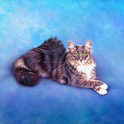 Cat Painting Custom Cat Art From Photos. Custom Cat Portrait. - Etsy