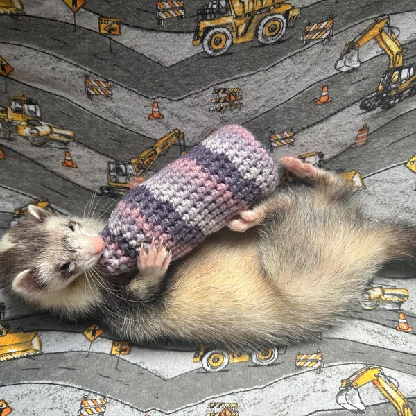 Ferret Emergency Chart and Health Medical Kit List Laminated Quick ...