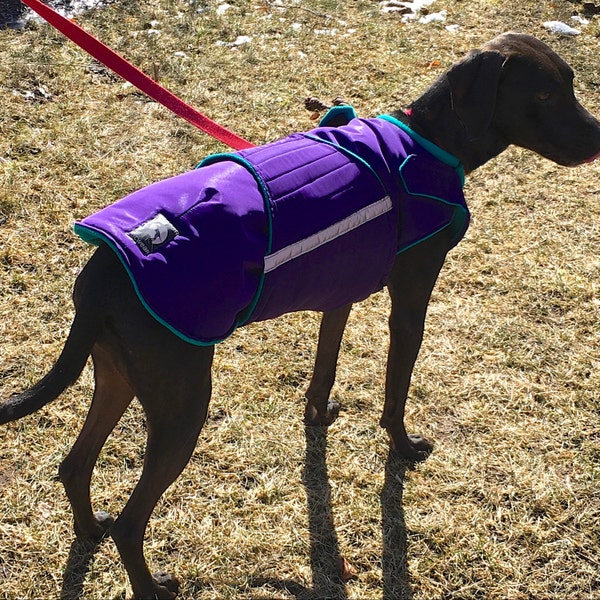 German Pointer / Vizsla Extra Warm Winter Dog Coat - Dog Jacket ...