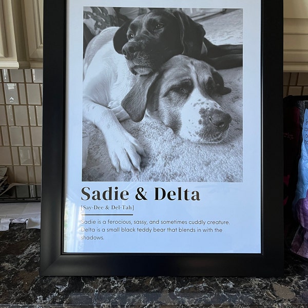 Custom Pet Poster, Personalized Dictionary Description, Pet Portrait ...