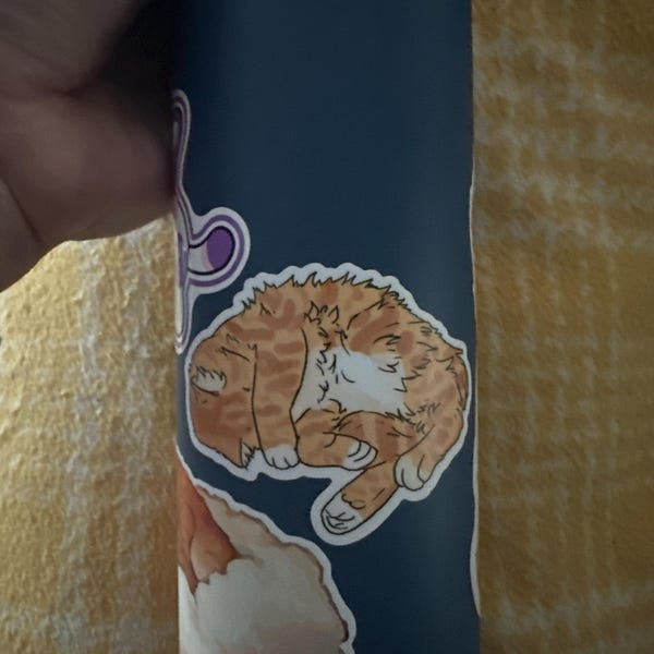 Orange Tabby Cat Sticker, Vinyl Matte Sticker, Waterproof Dishwasher ...