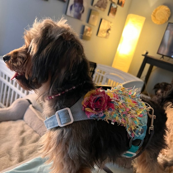 Custom Fancy Dog Leash in Pink and Cream - Etsy