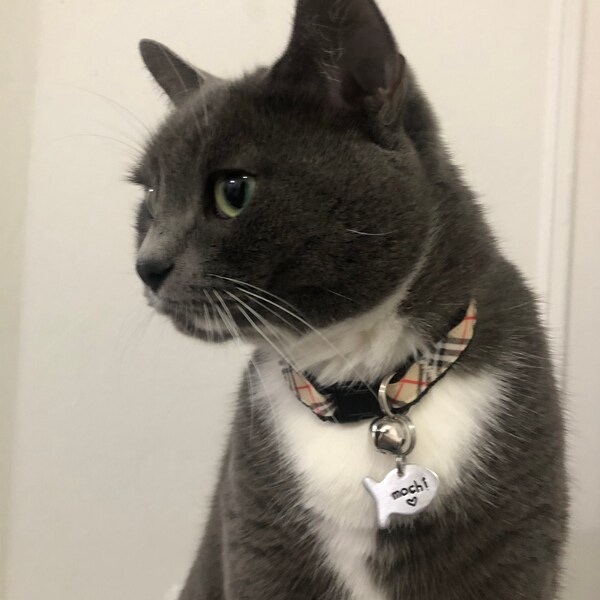 Small Dog Tag - Cat Tag - Fish Shaped Pet ID Tag - Ocean Themed Pet Tag ...