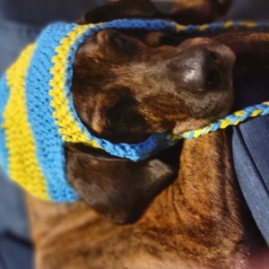 Crochet Doggie Hat PDF Pattern for Large Dogs - Etsy