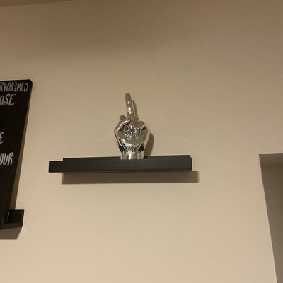 Interior Illusions Plus Silver Middle Finger Table Top - Etsy