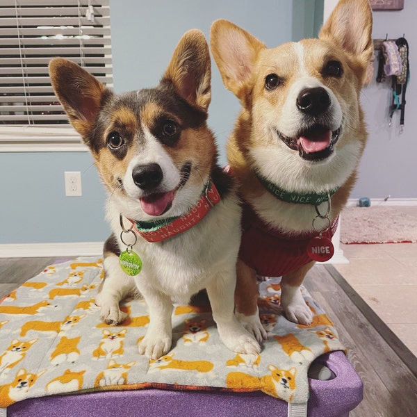 Baby Sharks Reversible Snap-on Dog Bandana - Etsy