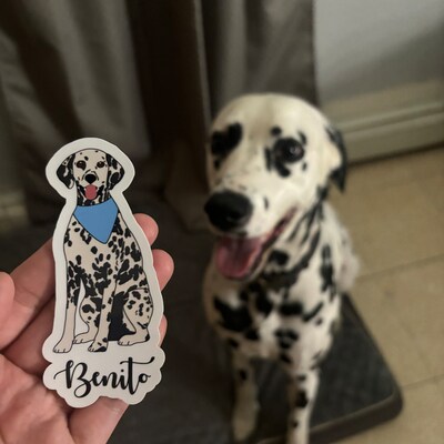 Personalized Boston Terrier Dog Sticker // Custom // Gift for Dog Lover ...