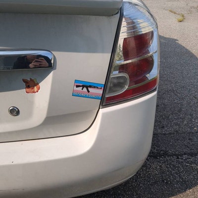 Defend Equality Trans Flag and Rifle Hard Enamel Pin - Etsy