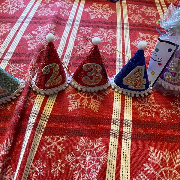 Custom Mini Fun Party Hat, FIRST Birthday, 1st B-day Hat, Girl Boy Dog ...