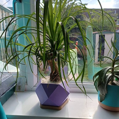 Rounded Cube Pot, Planter, Pot With Feet, Coloured Pot, Indoor Plant ...