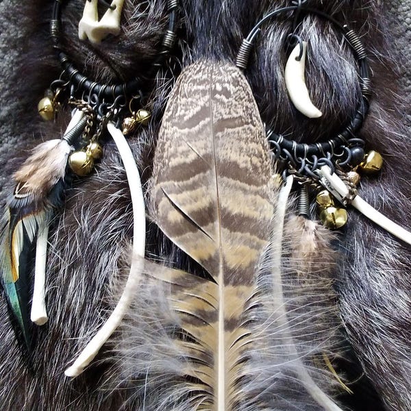 Coyote Bones & Feathers - Etsy