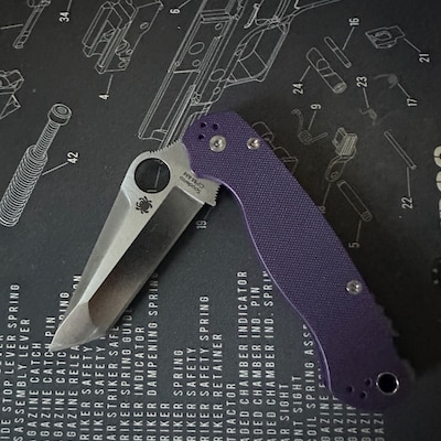 Custom Spyderco Paramilitary 2 Para 3 Titanium Military Studs - Etsy