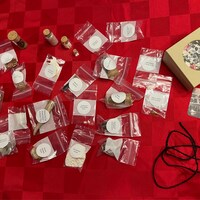 20 Item Curiosities Mystery Box Gift Real Animal Bones Fossils ...