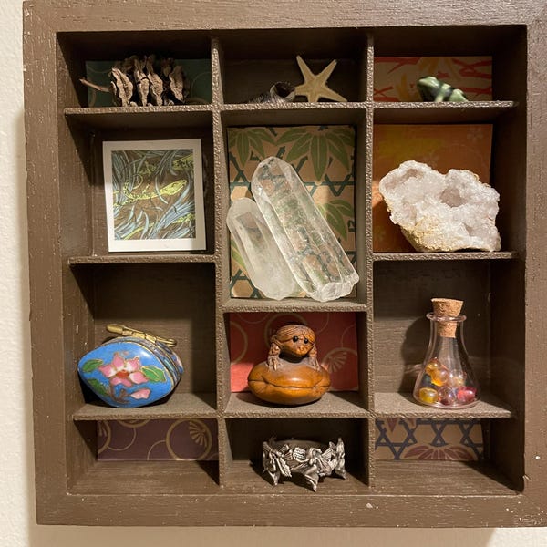 Wooden Curiosity Cabinet Printer Tray Letterbox Display, Rock Display ...