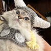 Brunhilde, Vikings, Valkyries, Wagner Opera, Hats for Cats, Pet Hats ...