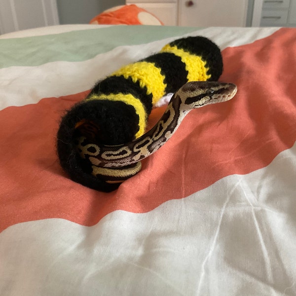 Crocheted Snake Sweater | Frog Costume Enrichment Toy - Etsy