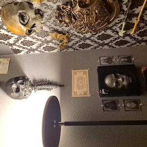 3D Printed Skull Wall Decor, Full Size Set of 3, Wall Mounted Human ...