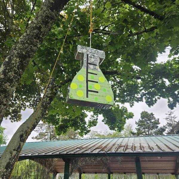 New! Daisy Number Three Pinata for Third Birthday Groovy Theme Party ...