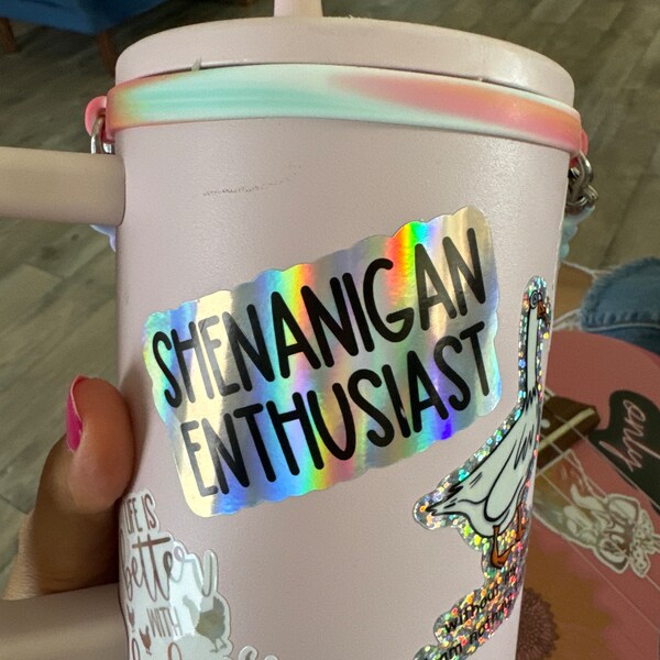Shenanigan Enthusiast Laptop Stickers, Funny Stickers, Sarcasm Laptop ...