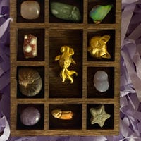 Mushroom Mini Curio Shelf - Etsy