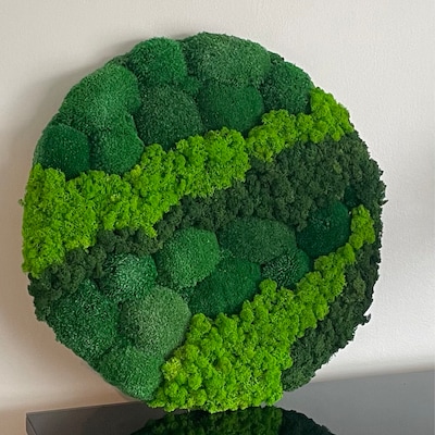 Make Your Own Moss Art DIY Moss Wall Kit Round Moss Art - Etsy