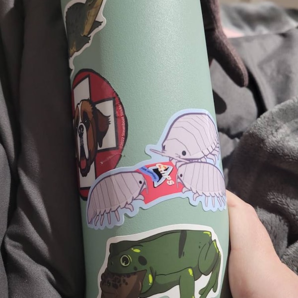 3D Moth Vtuber, Premade Luna Moth Vtuber, Atlas Moth Vtuber, Mothman ...