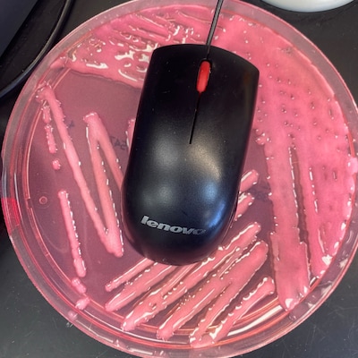 Custom Photo Round Mousepad Personalized Mouse Pad Photo Printed on ...