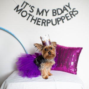 Dog Birthday Princess Tutu & Crown Pink and Purple Solid | Etsy