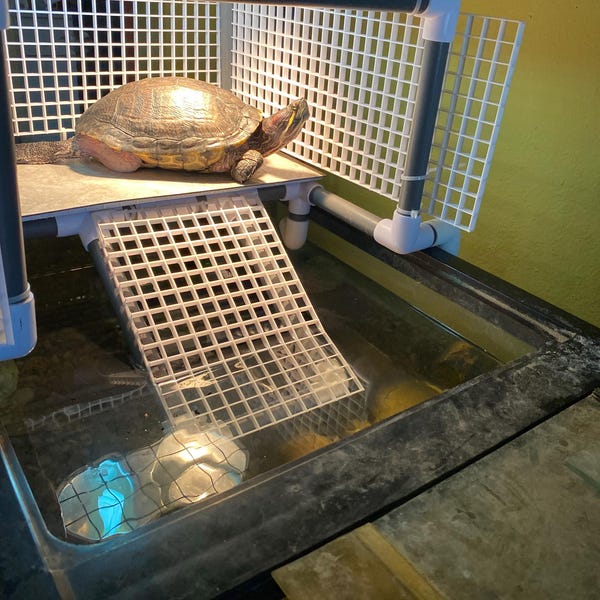 Tank Topper Turtle Dock! Sits on Top of Your Aquarium and Fits 18-19 ...