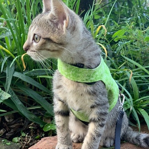 Safetykatz Walking Jacket Red Custom Made Cat Reversible | Etsy