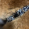 Martingale Collar Made of Japanese Traditional Pattern Cotton - Etsy
