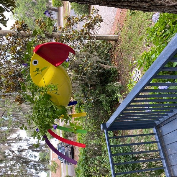 Sunny Parrot Hanging Planter: Colorful Bird Garden Decor - Etsy