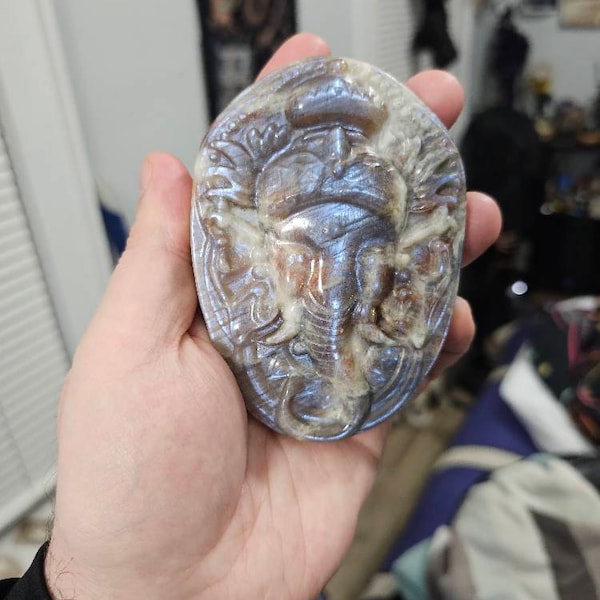 Gorgeous Sea Jasper Bird Skull Carving Nice Orb Patterns and Colors - Etsy